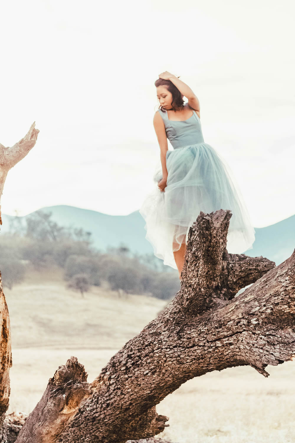 Exploring The Wild Side: A Photo Story - Jackelyn Ho